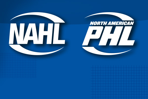 Chasing your Dreams: The Path to College Hockey and the NHL for ...